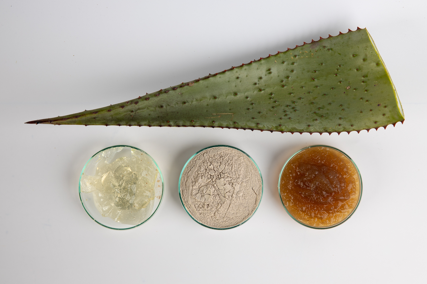 Organic Aloe | Products | Gel and Juices